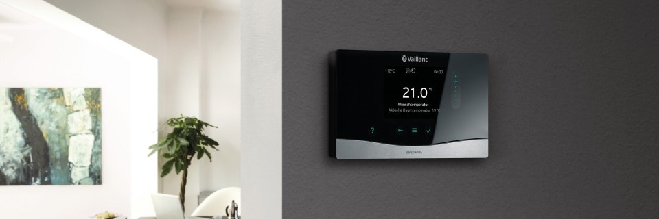 Controls and frost protection | Vaillant