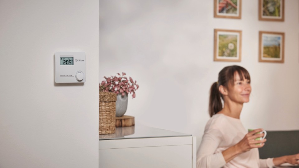 Controls and frost protection | Vaillant