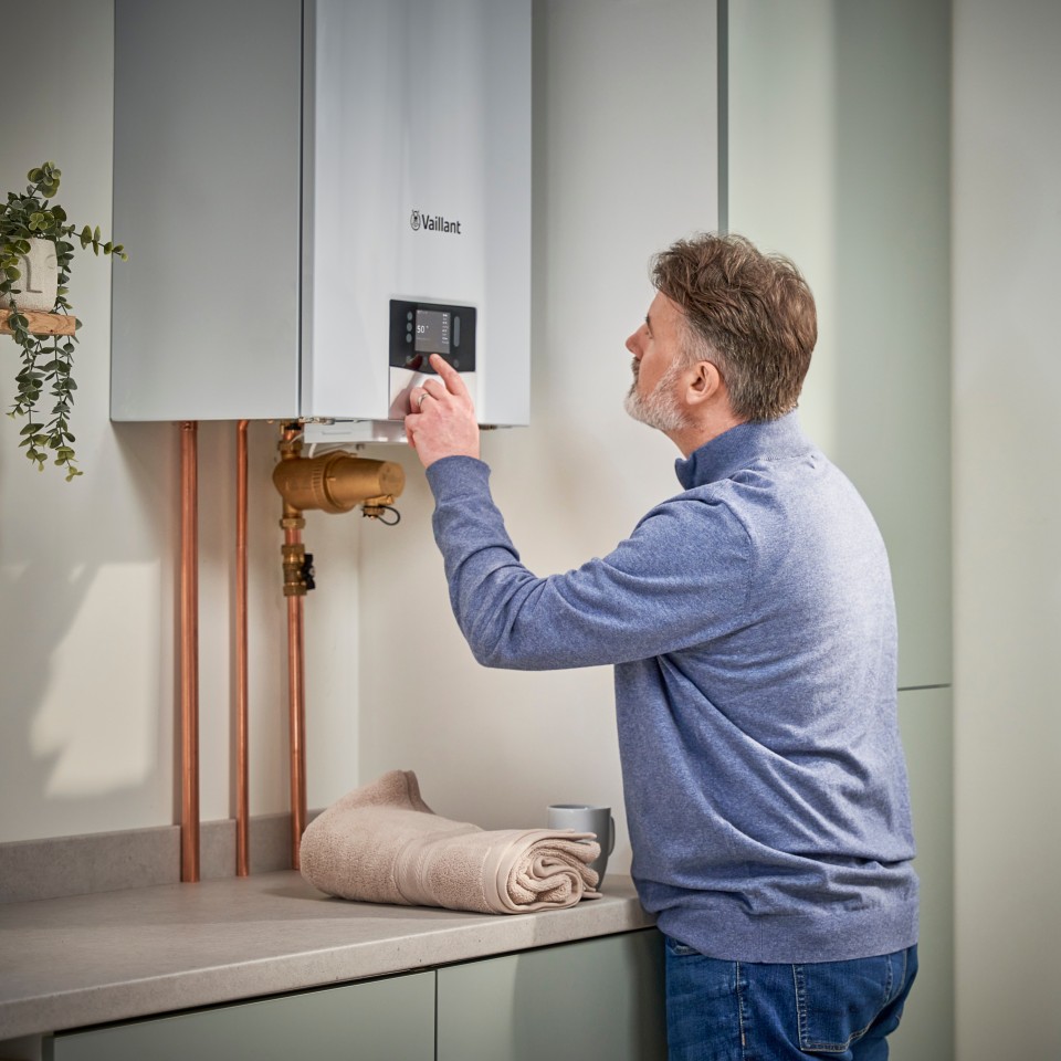 Smart Home Subscriptions | Vaillant
