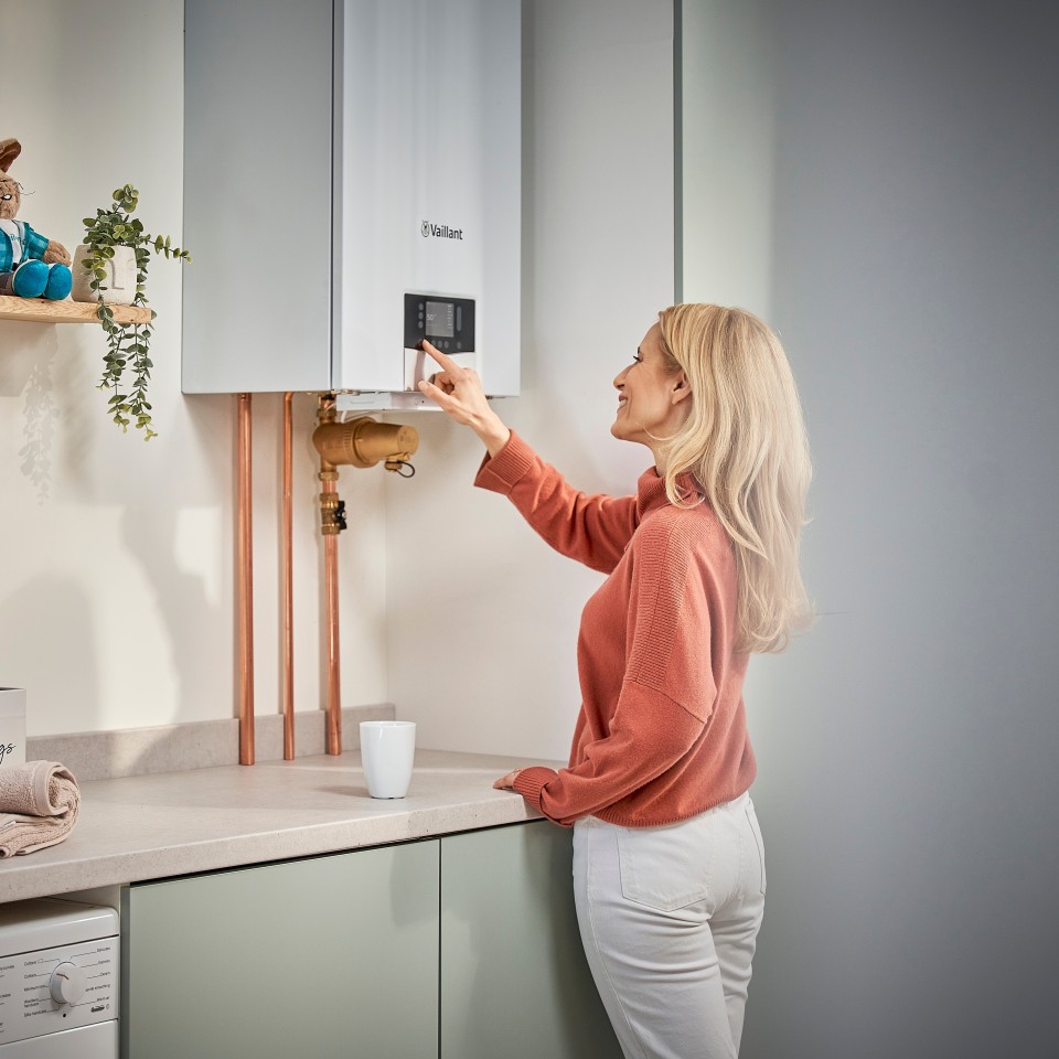 Hybrid system | Vaillant